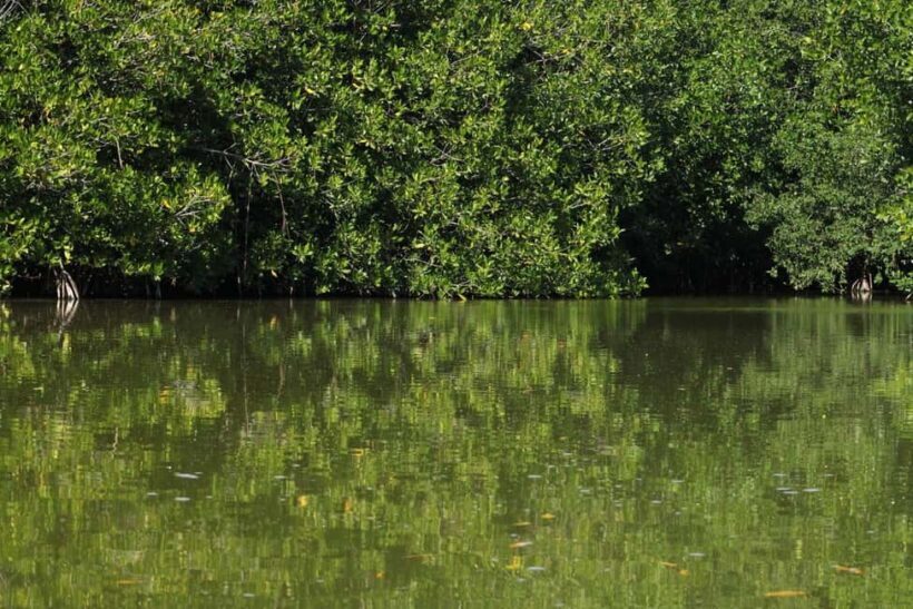 From Puerto Escondido: Day Trip to Chacahua National Park - Key Points