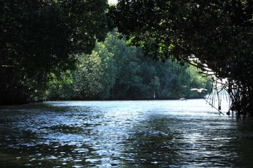 From Puerto Escondido: Day Trip to Chacahua National Park - What We Loved About the Experience