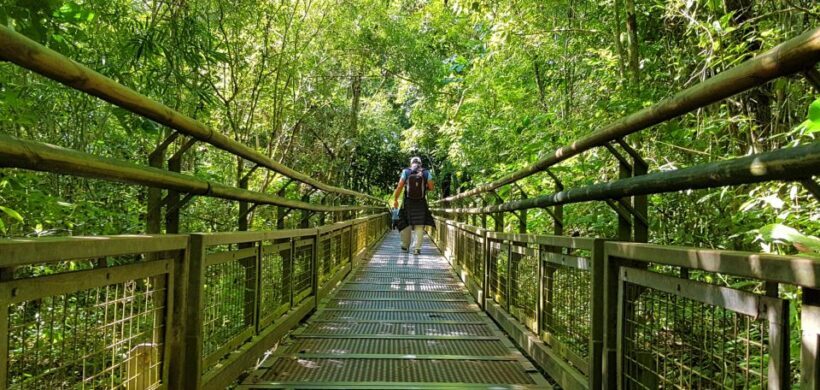 From Puerto Iguazu: Argentinian Iguazu Falls with Boat Ride - Authentic Experiences & Practical Tips
