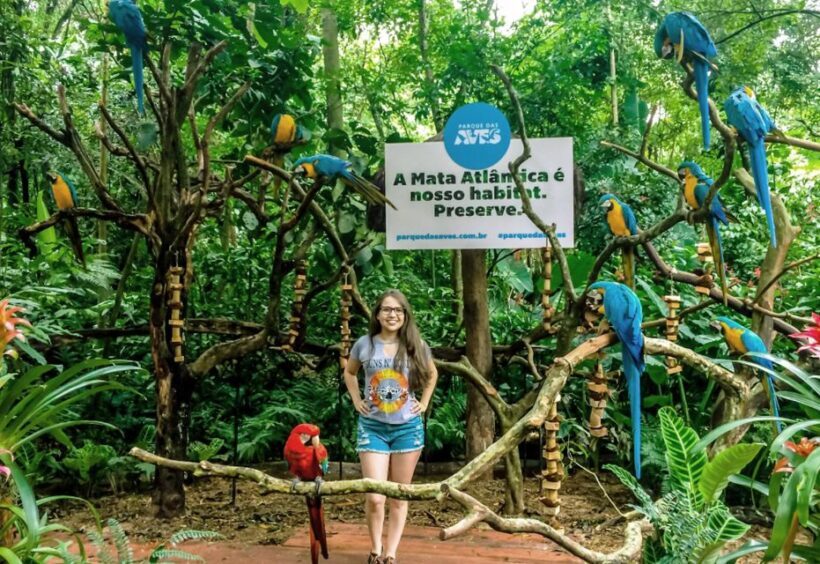 From Puerto Iguazú: Brazilian Bird Park Tour with Tickets - Key Points