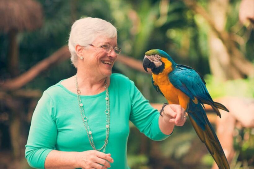 From Puerto Iguazú: Brazilian Bird Park Tour with Tickets - A Closer Look at the Brazilian Bird Park Tour