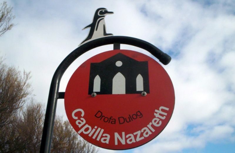 From Puerto Madryn: City and Punta Loma Tour - Final Thoughts