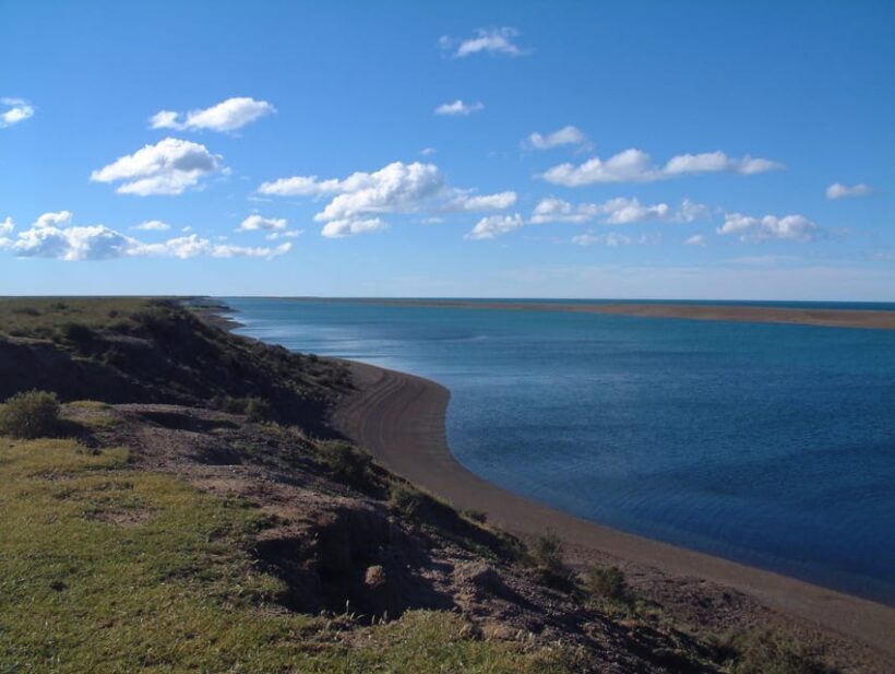 From Puerto Madryn: Full-Day Valdes Peninsula Tour - Authentic Experiences and Traveler Feedback