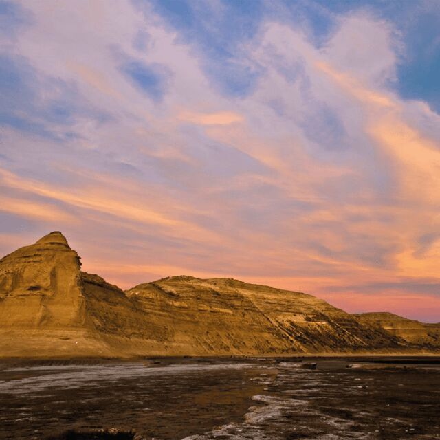 From Puerto Madryn: Peninsula Valdés Shore Excursion - Who Should Consider This Tour?