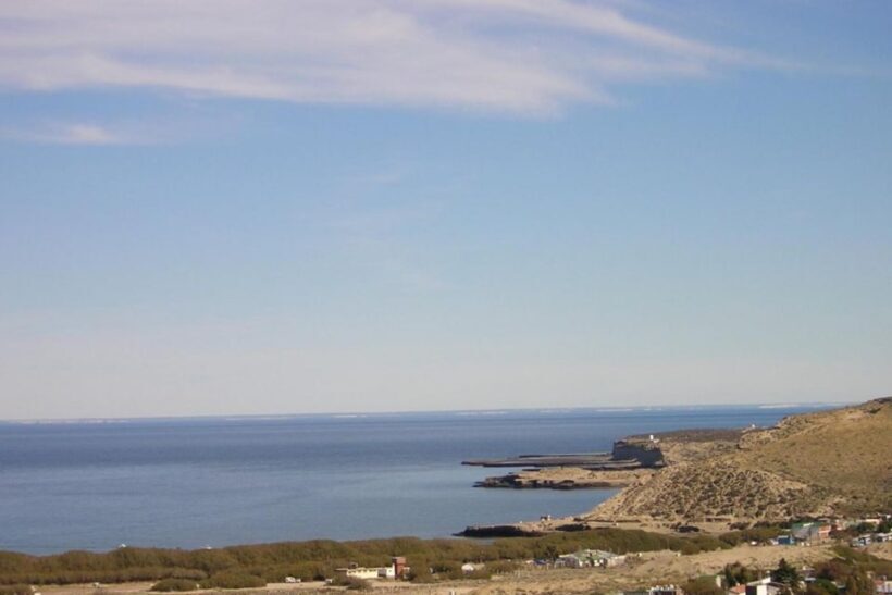 From Puerto Madryn: Punta Tombo Day Trip with Hotel Transfer - Key Points
