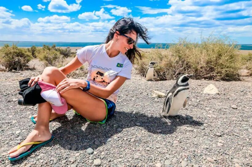 From Puerto Madryn: Punta Tombo Day Trip with Hotel Transfer - Exploring the Itinerary in Detail