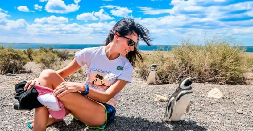 From Puerto Madryn: Punta Tombo Day Trip with Hotel Transfer - Price and Value Analysis