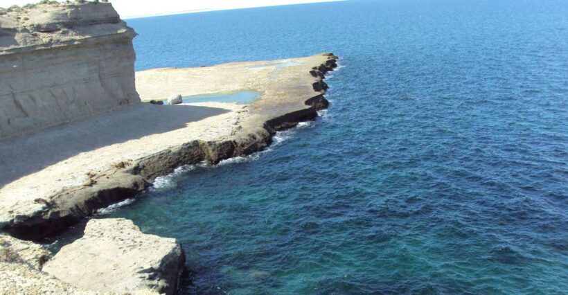 From Puerto Madryn: Valdes Peninsula Full-Day Tour - Practical Tips for a Smooth Experience