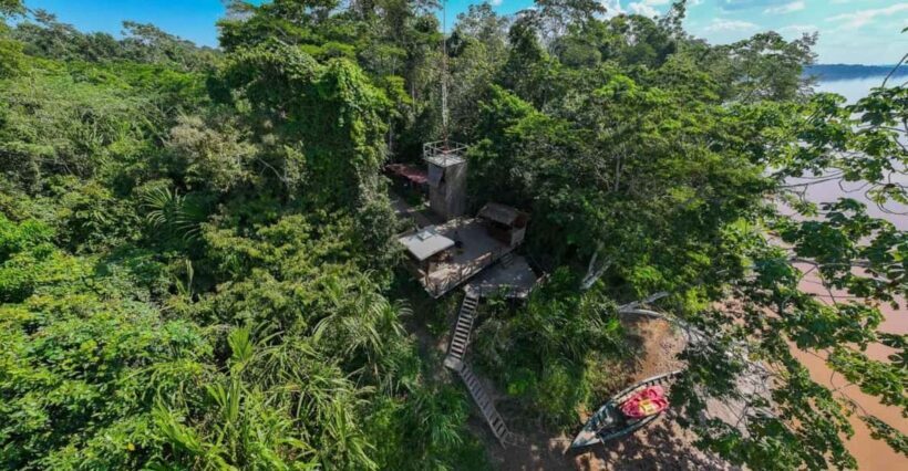 From Puerto Maldonado: 4-Day Excursion /wildlifesearch - Key Points