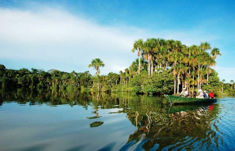 From Puerto Maldonado: 4-Day Excursion /wildlifesearch - A Detailed Look at the 4-Day Itinerary