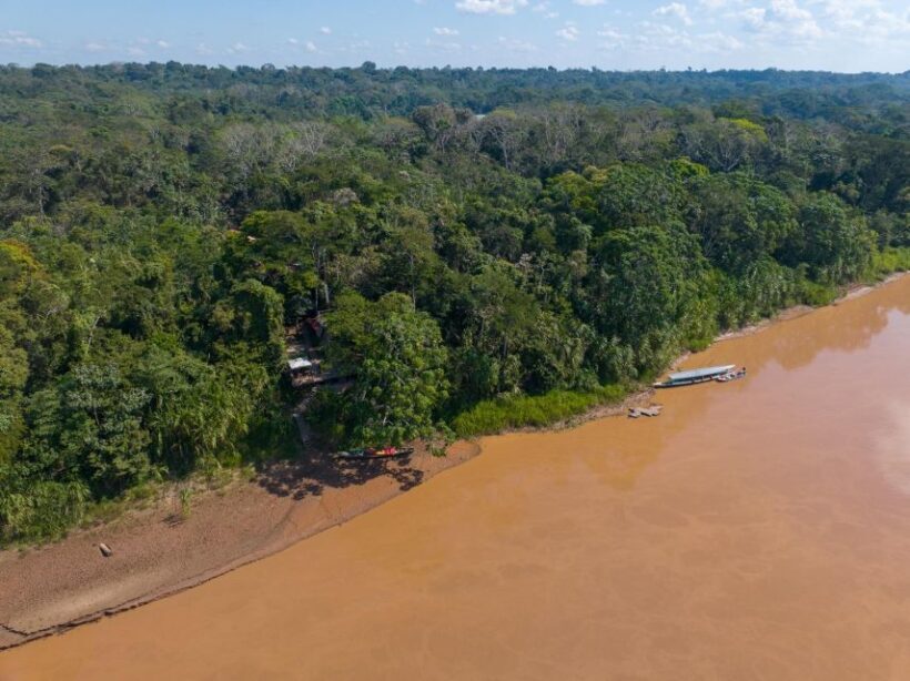 From Puerto Maldonado: 4-Day Excursion /wildlifesearch - Final Thoughts