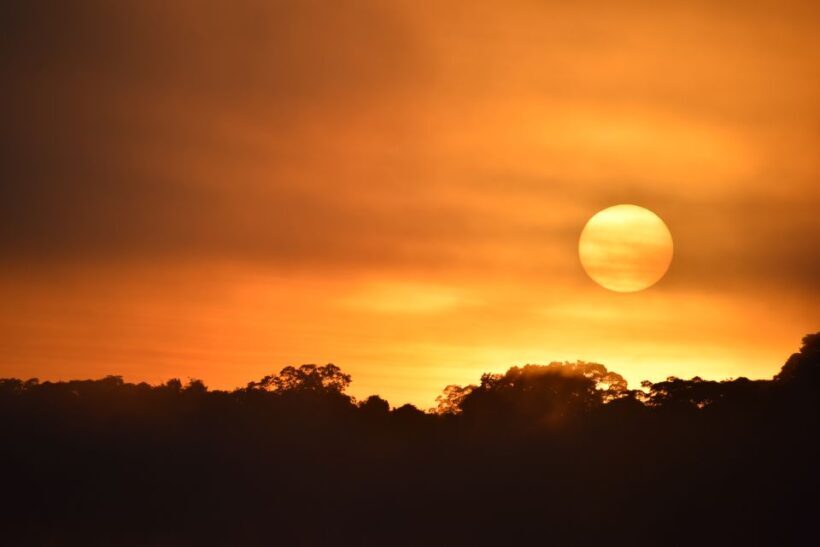 From Puerto Maldonado: 4-Day Excursion /wildlifesearch - FAQ