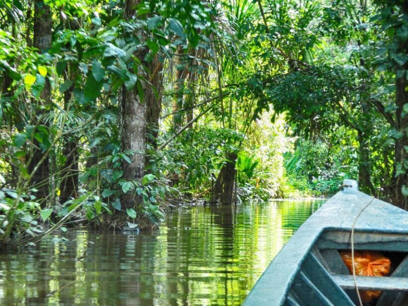 From Puerto Maldonado: Jungle trekking + Sandoval Lake - Practical Tips for Your Adventure