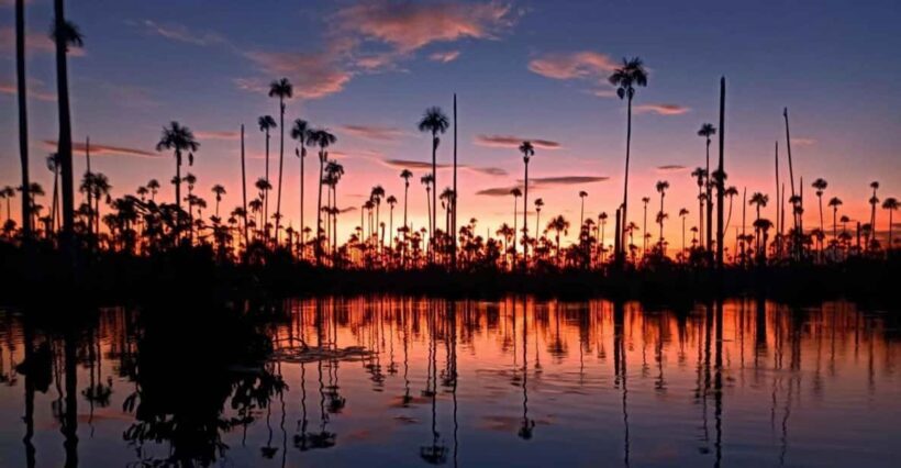 From Puerto Maldonado || Sunset boat ride for 3 hours || - Key Points