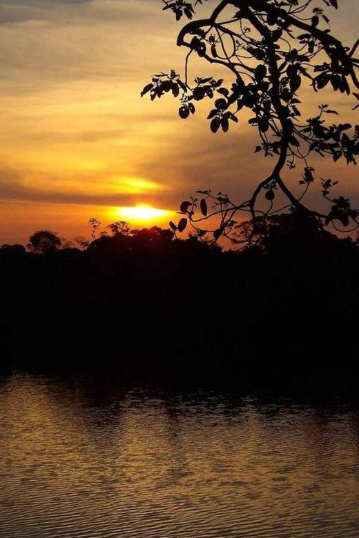 From Puerto Maldonado || Sunset boat ride for 3 hours || - What’s the Experience Like?