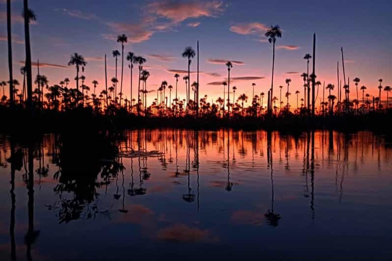 From Puerto Maldonado || Sunset boat ride for 3 hours || - Wildlife and Nature