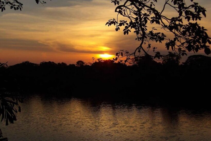 From Puerto Maldonado || Sunset boat ride for 3 hours || - Comfort and Logistics