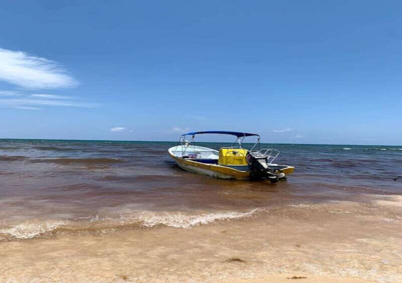 From Puerto Morelos: Lagoon k'an luum - The Sum Up