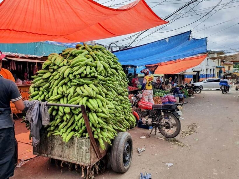 From Puerto Plata Priv: Cocoa, Coffee, Cigars & Local Market - Exploring the Heart of the Dominican Republic