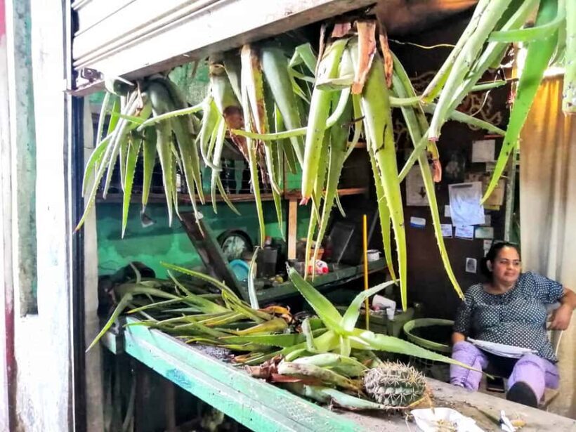 From Puerto Plata Priv: Cocoa, Coffee, Cigars & Local Market - Final Thoughts