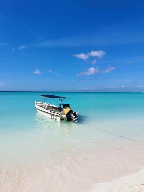 From Puerto Plata: Santo Domingo + Saona Island (2 days) - Practical Tips for Travelers