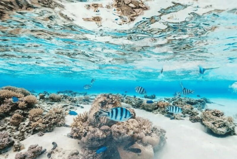 From Puerto Princesa: 5-Day Palawan Trip with Accommodation - Value and Overall Impression