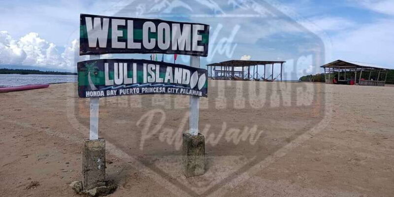 From Puerto Princesa: Honda Bay Island Hopping Full-Day Tour - Final Thoughts