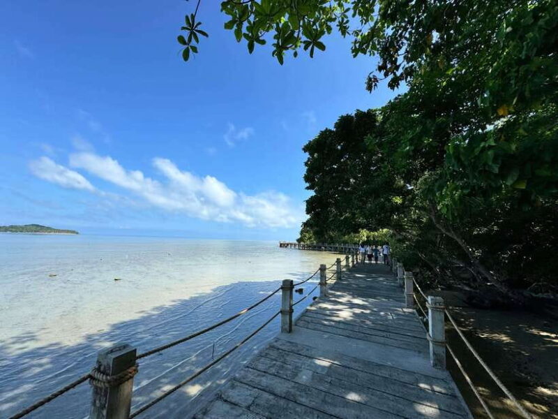 From Puerto Princesa: Tabon Cave Day Tour with lunch - Who Should Consider This Tour?