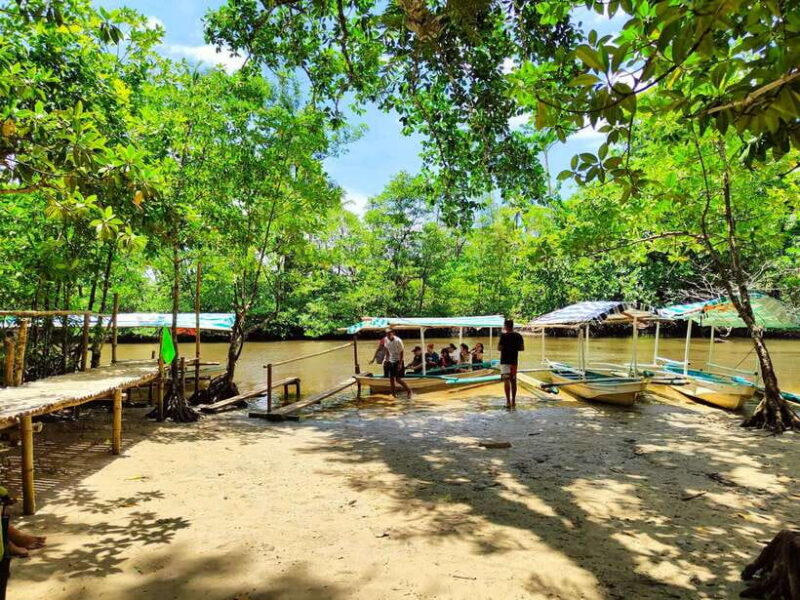 From Puerto Princesa: Underground River Guided Day Trip - Value and Practical Considerations