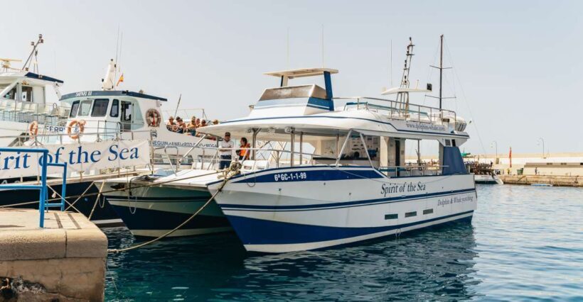 From Puerto Rico de Gran Canaria: Dolphin Watching Cruise - Practical Details and Tips