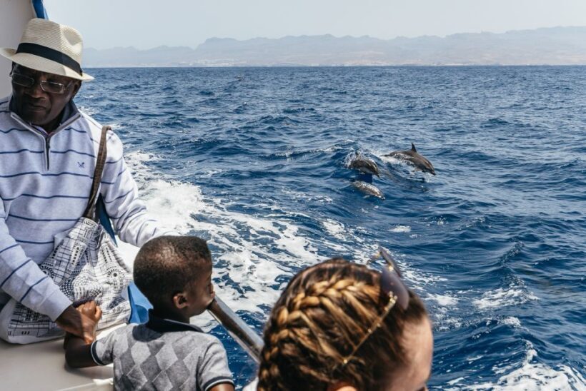 From Puerto Rico de Gran Canaria: Dolphin Watching Cruise - Final Thoughts