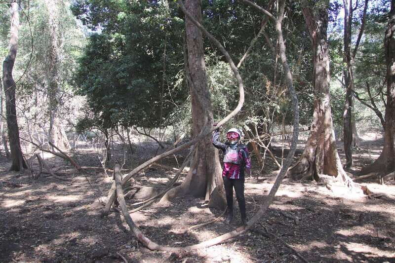 From Puerto Vallarta: 2-Hour Guided Sierra Vallejo Hike - A Closer Look at the Sierra Vallejo Hike Experience