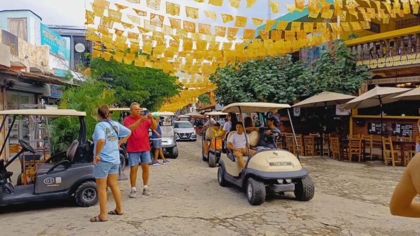 From Puerto Vallarta: San Pancho and Sayulita Cultural Tour - Who Will Love This Tour?