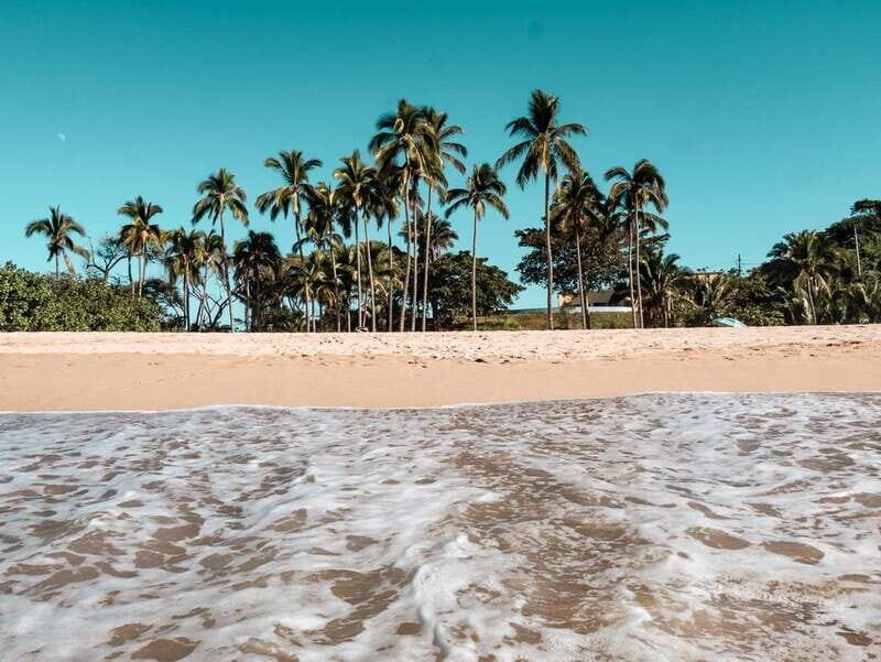 From Puerto Vallarta: San Pancho and Sayulita - Analyzing the Experience: What to Expect