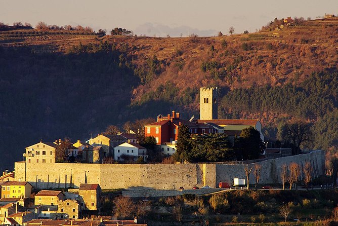 From Pula or Medulin: Rovinj, GrožNjan & Motovun Day Tour - Additional Details and Considerations