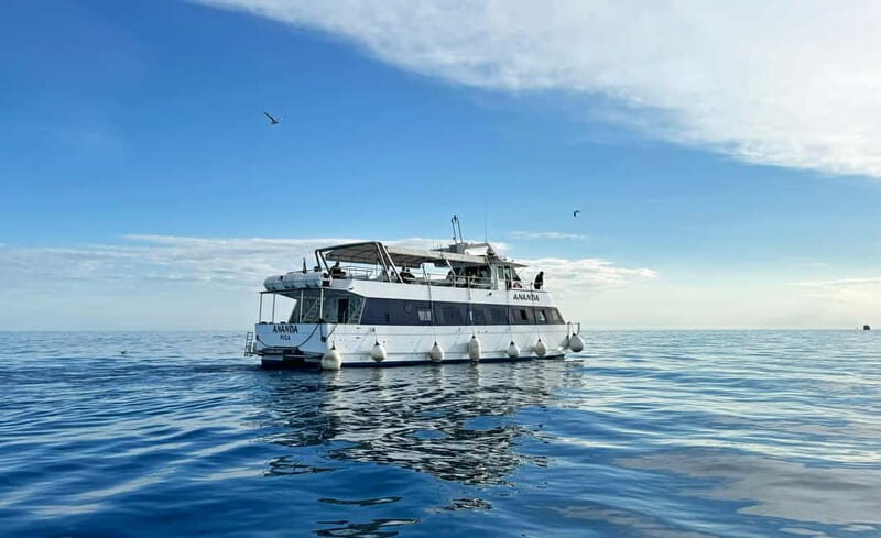 From Pula: Rovinj & NP Brijuni cruise with Red Island visit - The Sum Up: Who Will Love This Experience?