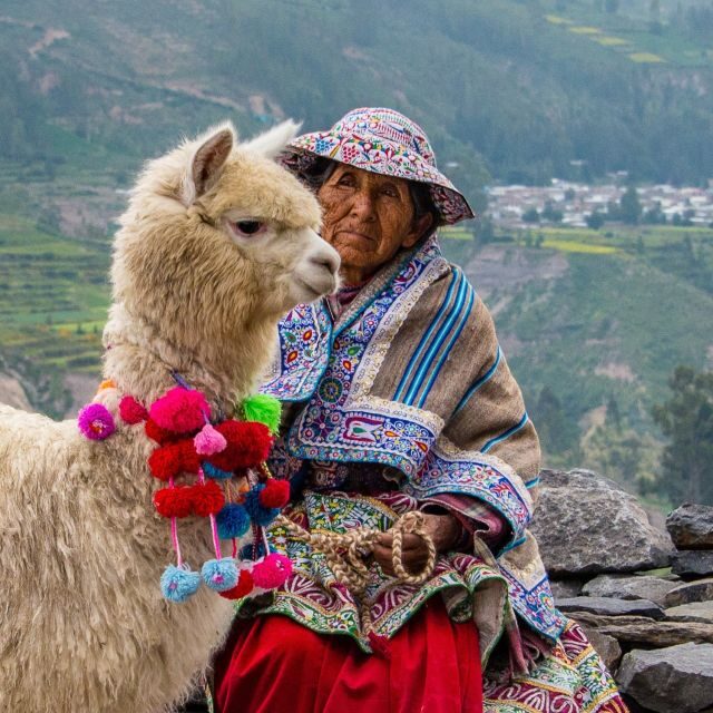 From Puno to Arequipa: 2 Days/1 Night Colca Canyon Tour - Key Points