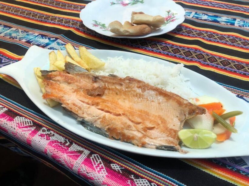 From Puno: Uros Islands and Taquile by Fast Boat with Lunch - FAQ