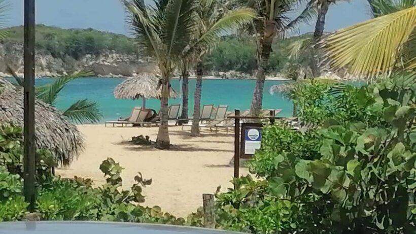 From punta: 4 wheels ATV 4x4 adventur+Macao beach and Cenote - Who Will Enjoy This?