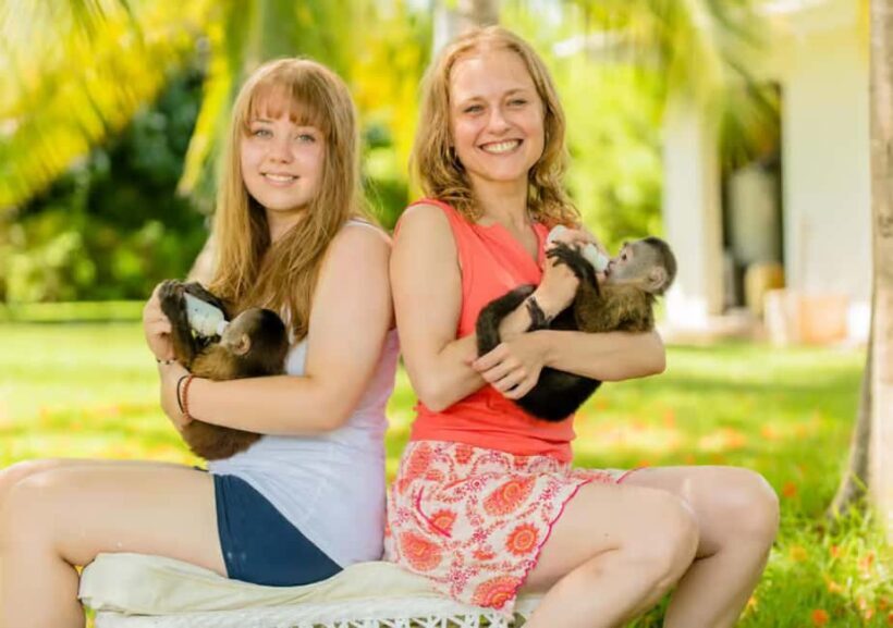 From Punta Cana: ATV and Buggy Excursion 4x4 with Water Cave - Key Points