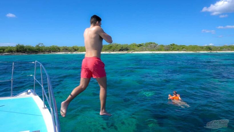 From Punta Cana: Catalina Snorkeling & Altos de Chavon Tour - Savoring Dominican Flavors