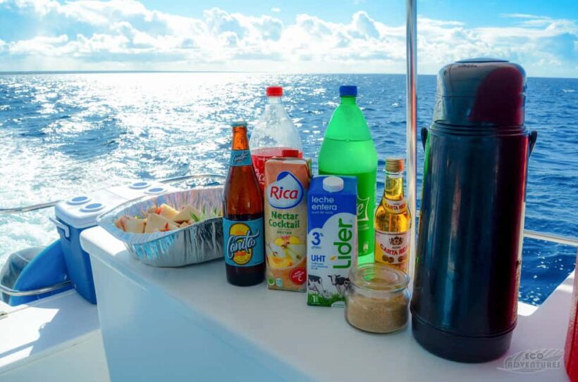 From Punta Cana: Catalina Snorkeling & Altos de Chavon Tour - Final Thoughts