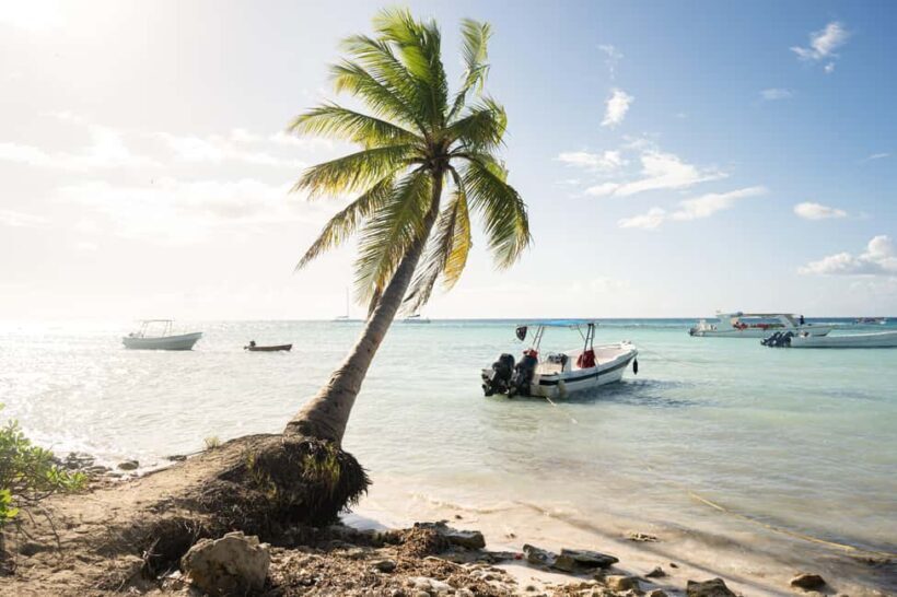 From Punta Cana: Catamaran Tour to Saona Island with Open Bar and Buffet - Detailed Breakdown of the Itinerary