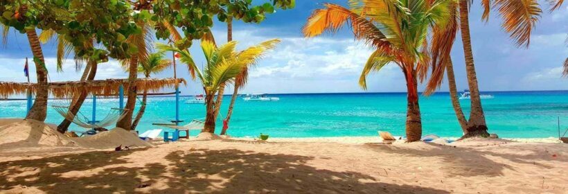 From Punta Cana: Exclusive Catalina Island Tour with Transportation and Lunch - Final Thoughts: Who Will Love This Tour?
