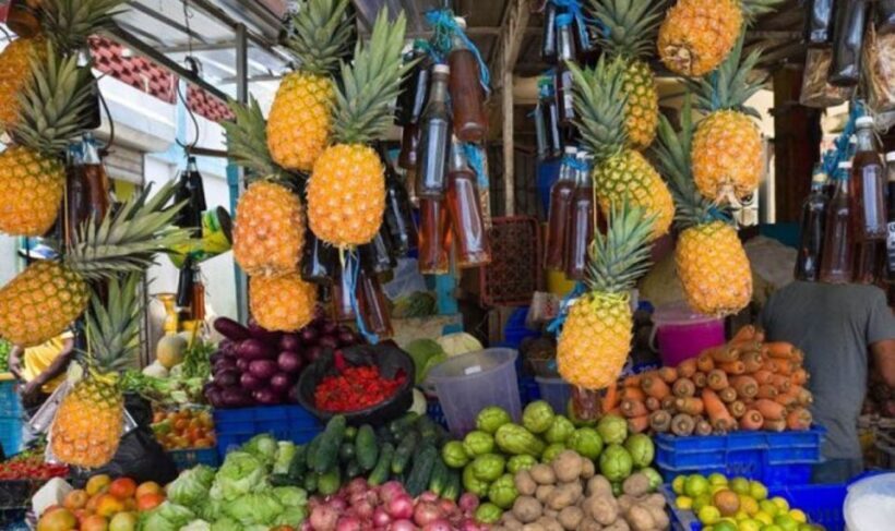 From Punta Cana: History and Culture Tour with River Swim - FAQ