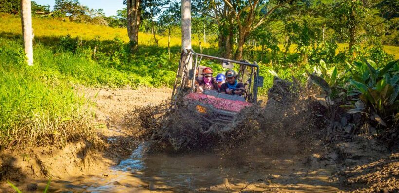 From Punta Cana: Jungle Buggy Adventure to Anamuya River - An Introduction to the Tour