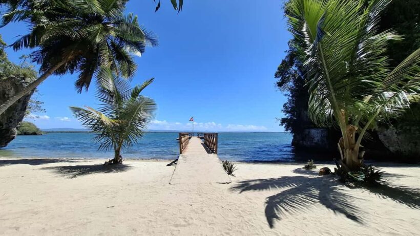 From Punta Cana: Los Haitises Tour: Mangroves, Caves + Round Mountain - Practical Tips for the Trip