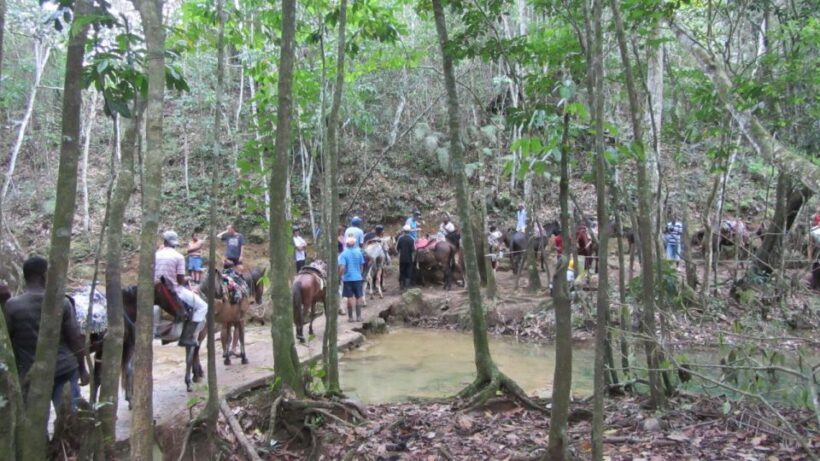 From Punta Cana: Samaná, Cayo Levantado & El Limón Waterfall - FAQs