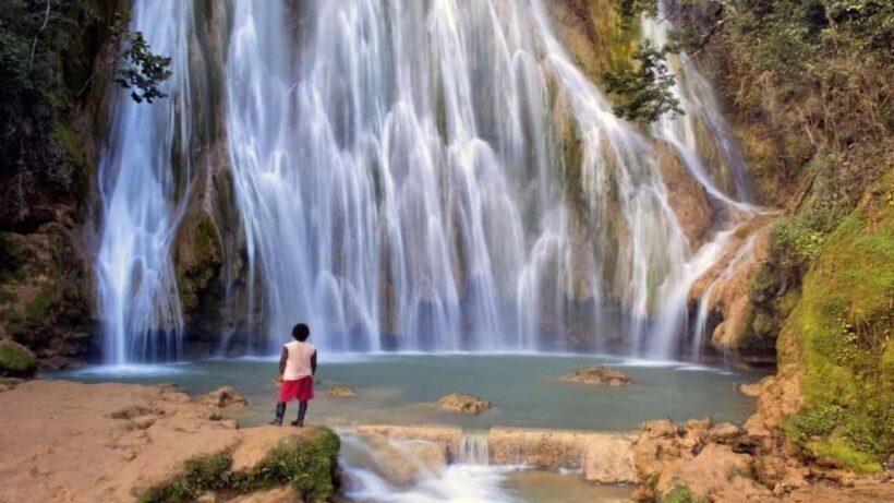 From Punta Cana: Samaná Whale Watching & Bacardi Island Tour - Introduction: Why This Tour Could Be Your Perfect Day Trip