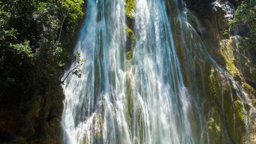 From Punta Cana: Sanctuary Whale Watching Day Trip - Who Will Love This Tour?